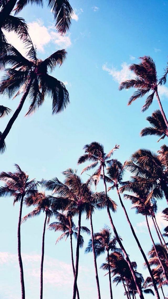 10 Summer Wallpapers