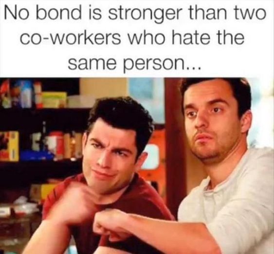 Funny Office Memes